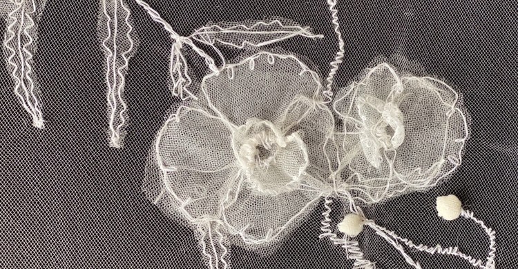Ruth Waddy